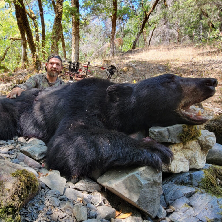 Black Bear Hunts | Lockwood Hunting Services